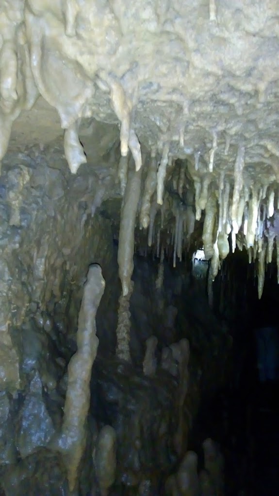 Krem Puri, Mawsynram : The World's Longest Sandstone Cave Has Uniform ...