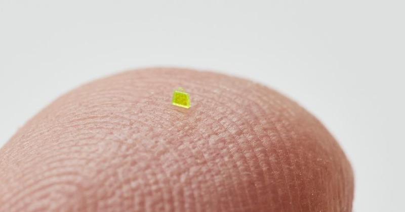 ' Louis Vuitton' Microscopic Bag Auctioned For ₹51 Lakh