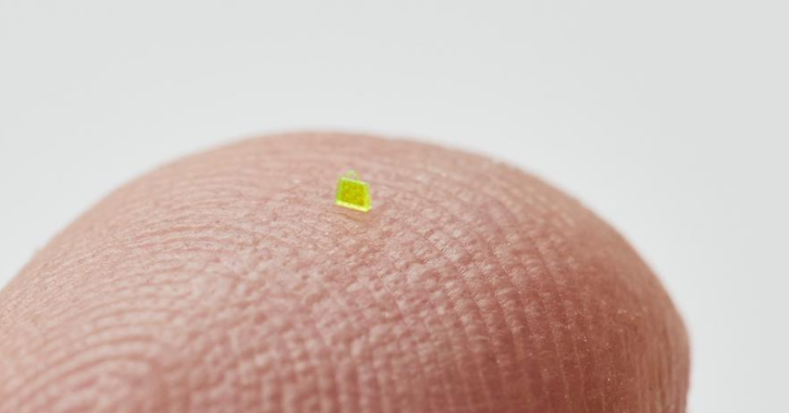 ' Louis Vuitton' Microscopic Bag Auctioned For ₹51 Lakh