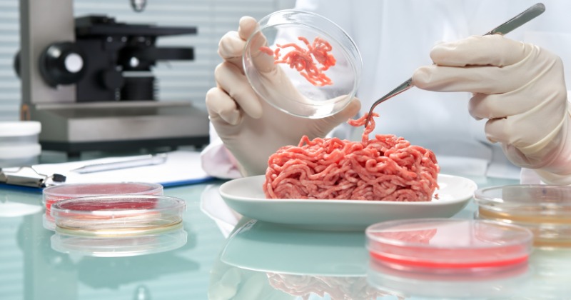 US Approves Sale Of Lab-grown Meat: What Is It, Is It Safe And Is It ...