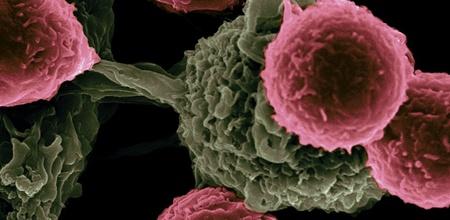 Revolutionary 'Microscopic Aircraft Carrier' Delivers Targeted Cancer ...