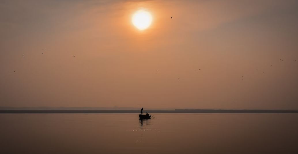 Electrofishing : How This Method To Kill Fishes Is Affecting Aquatic ...