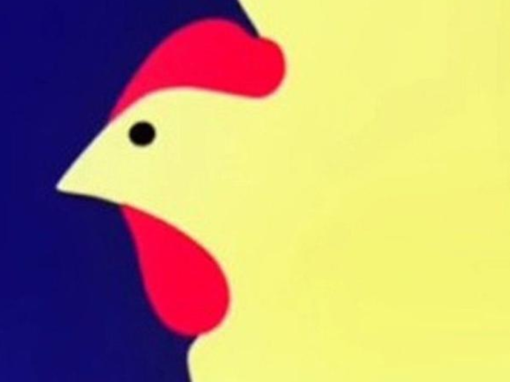 Optical Illusion: Unlocking Personality Traits