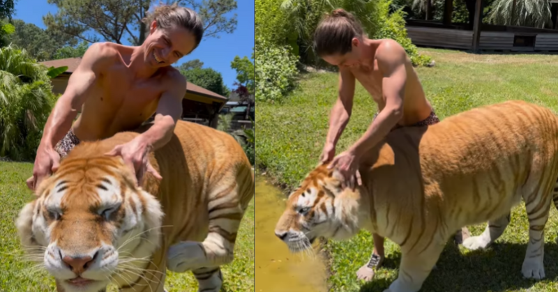 Man's Affectionate Bond With Tiger Takes The Internet By Storm