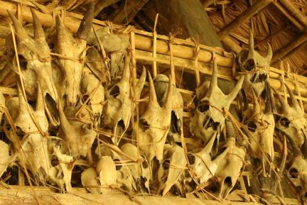 Dwellings Of Arunachal Pradesh's Wancho Tribe Are Based On ...