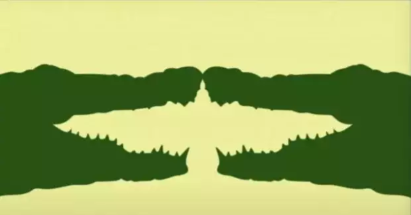 Optical Illusion: Crocodile Or Eagle What Do You See First?