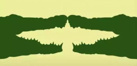 Optical Illusion: Crocodile Or Eagle What Do You See First?