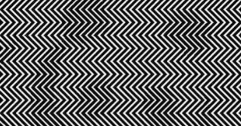 Can You Spot The Panda In This Zig-zag Optical Illusion?