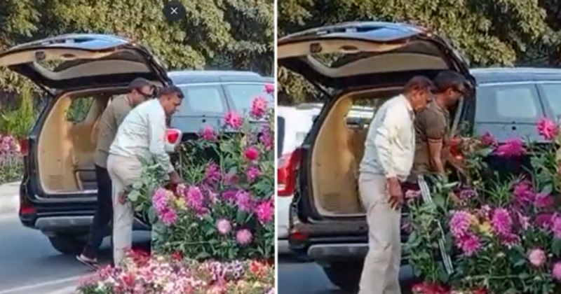 'Chindi Chor': Affluent Car Owner Allegedly Steals Flower Pots Set Up ...
