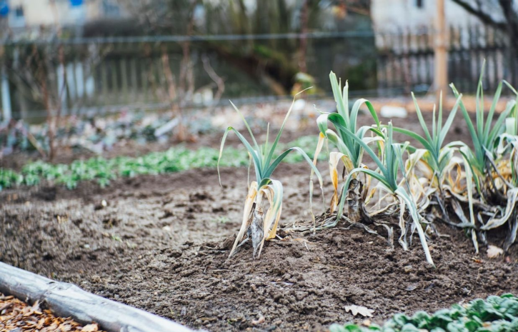 Different Types Of Gardening Methods