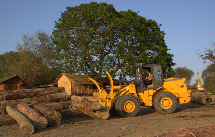 Explained: Why Teak Imported From Myanmar Is Called "Conflict Wood"