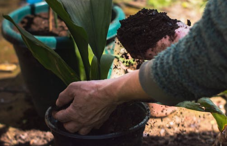 Different Types Of Gardening Methods