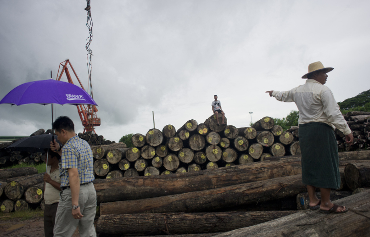 Explained: Why Teak Imported From Myanmar Is Called "Conflict Wood"