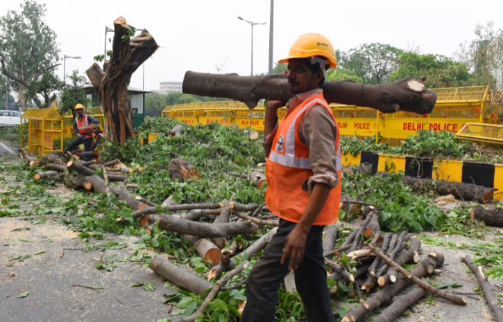 Explained: Delhi Preservation Of Trees Act (DPTA), 1994 And Rules On ...