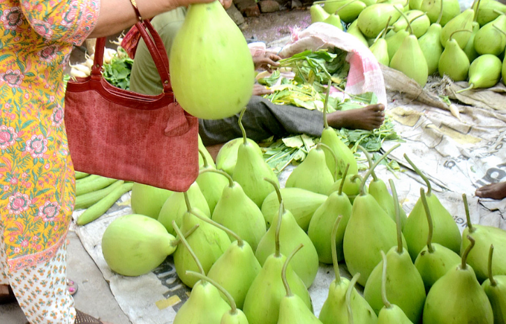 How To Grow Lauki At Home From Seeds