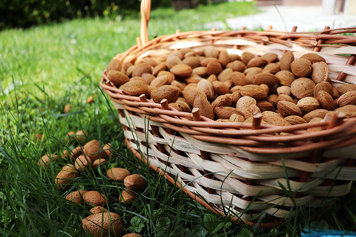 How To Grow Almonds At Home