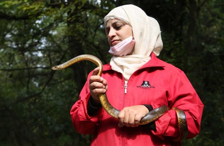 Meet Aaliya Mir, A Kashmiri Woman Rescuing Snakes, Bears And Other ...