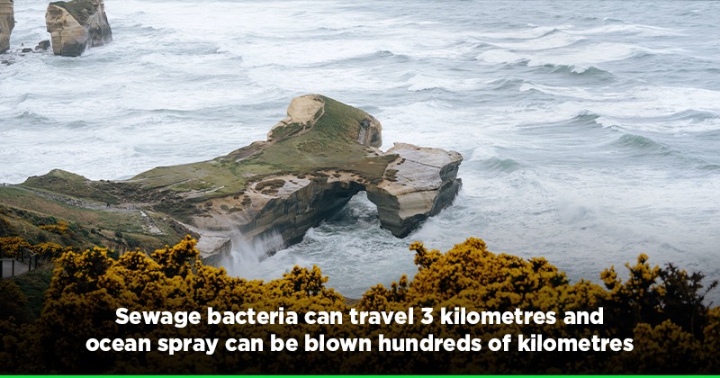 Sewage Bacteria From The Ocean Can Travel To Coastal Communities, Study ...