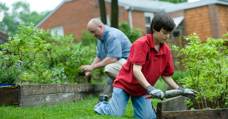What Are The Three Types Of Gardening?