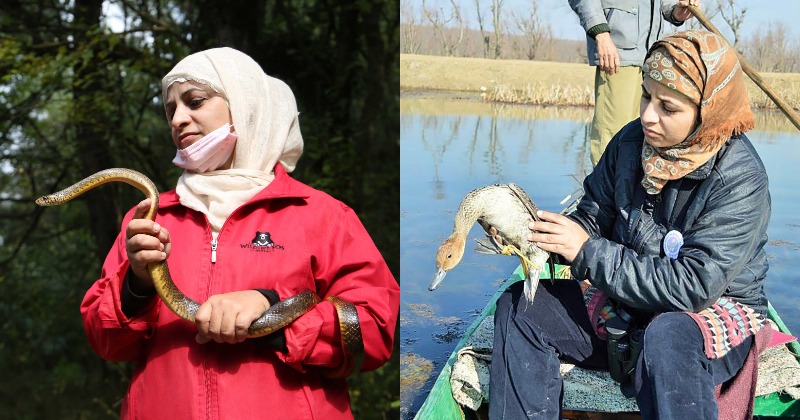 Meet Aaliya Mir, A Kashmiri Woman Rescuing Snakes, Bears And Other ...