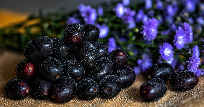 How To Grow Jamun From Seeds