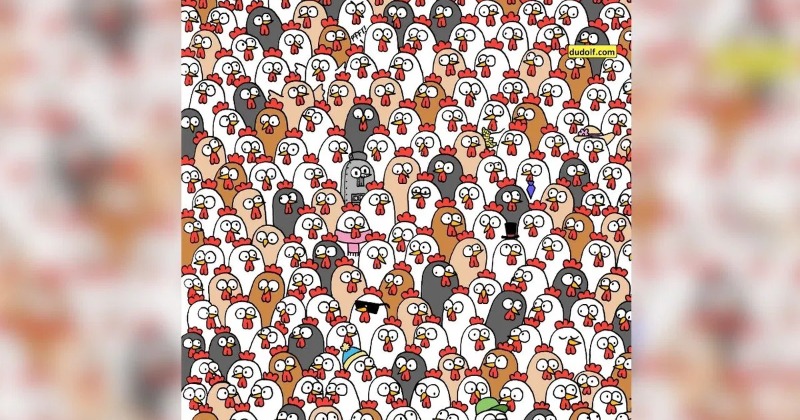 Brain Teaser: Can You Spot Three Hidden Owls In This Picture In 9 Seconds?