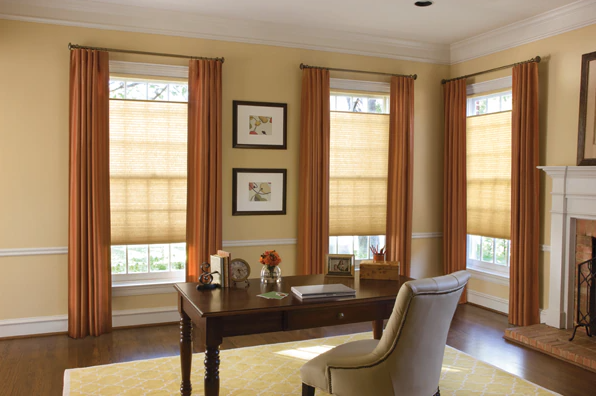 This Window Treatment Turns Direct Sun Into Glowy Light For Your ...
