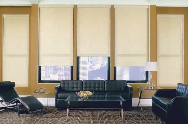 This Window Treatment Turns Direct Sun Into Glowy Light For Your ...