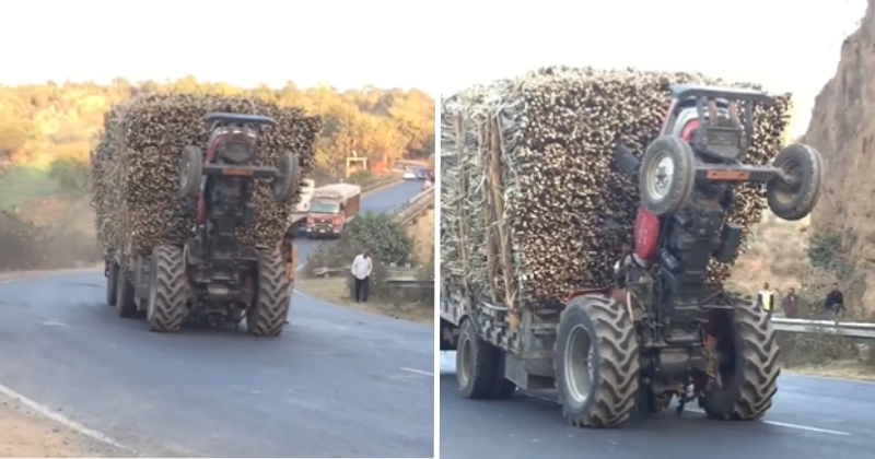 Tractor Moves On Busy Road With Its Front Wheels Up