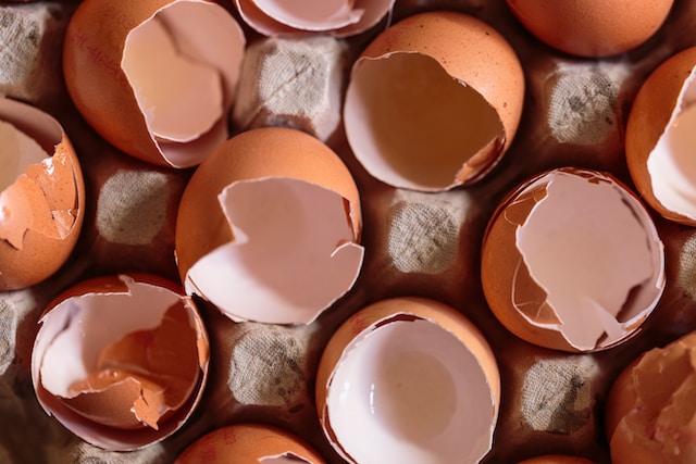 Homemade Fertiliser Recipe With Egg Shells