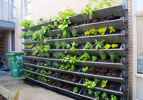 How To Do Sustainable Gardening Practices