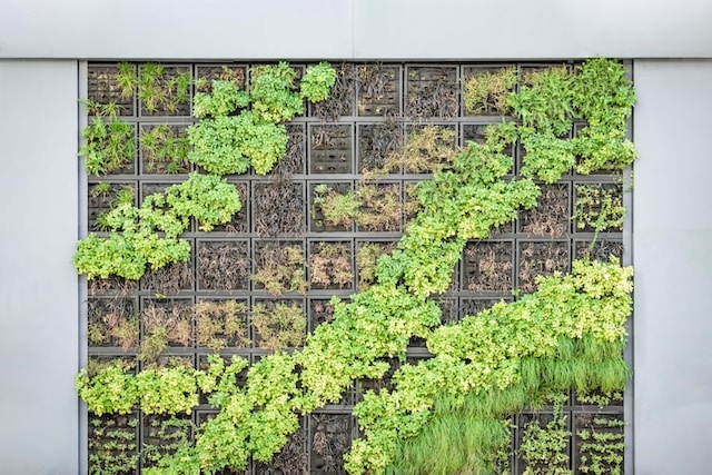 Vertical Garden Screen