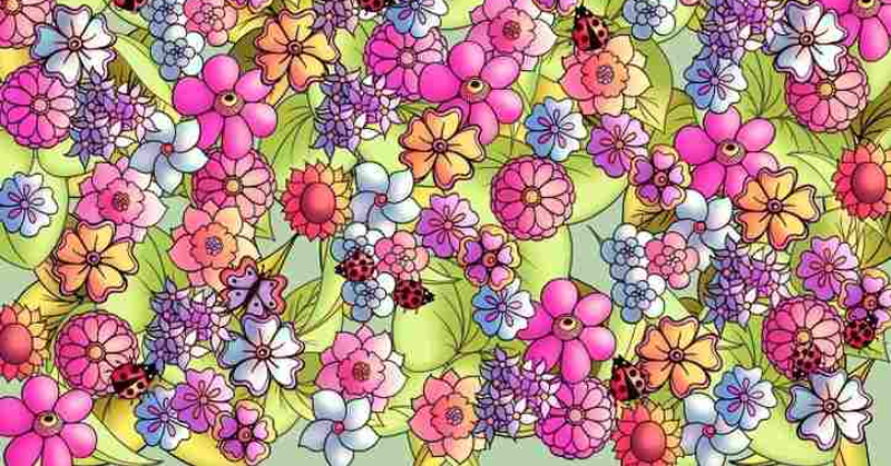 Optical Illusion: Only Genius People Can Spot The Butterfly Hidden ...