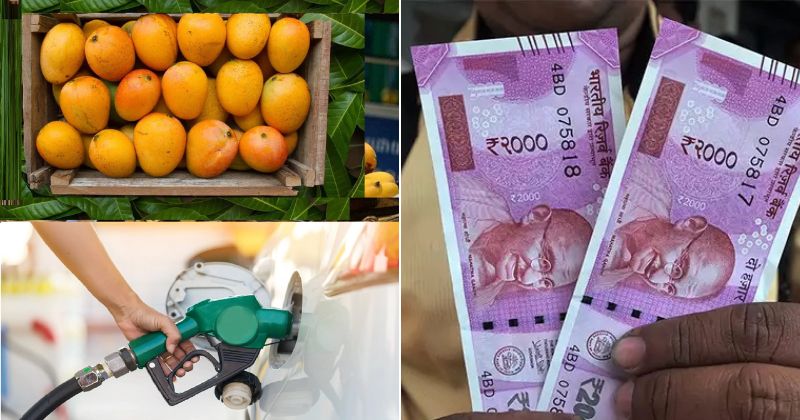 From Mangoes To Gold - Indians Find Unique Ways To Spend Rs 2,000 Notes