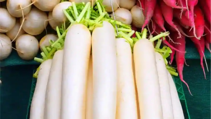 How To Grow White Radish At Home: Step By Step Complete Checklist