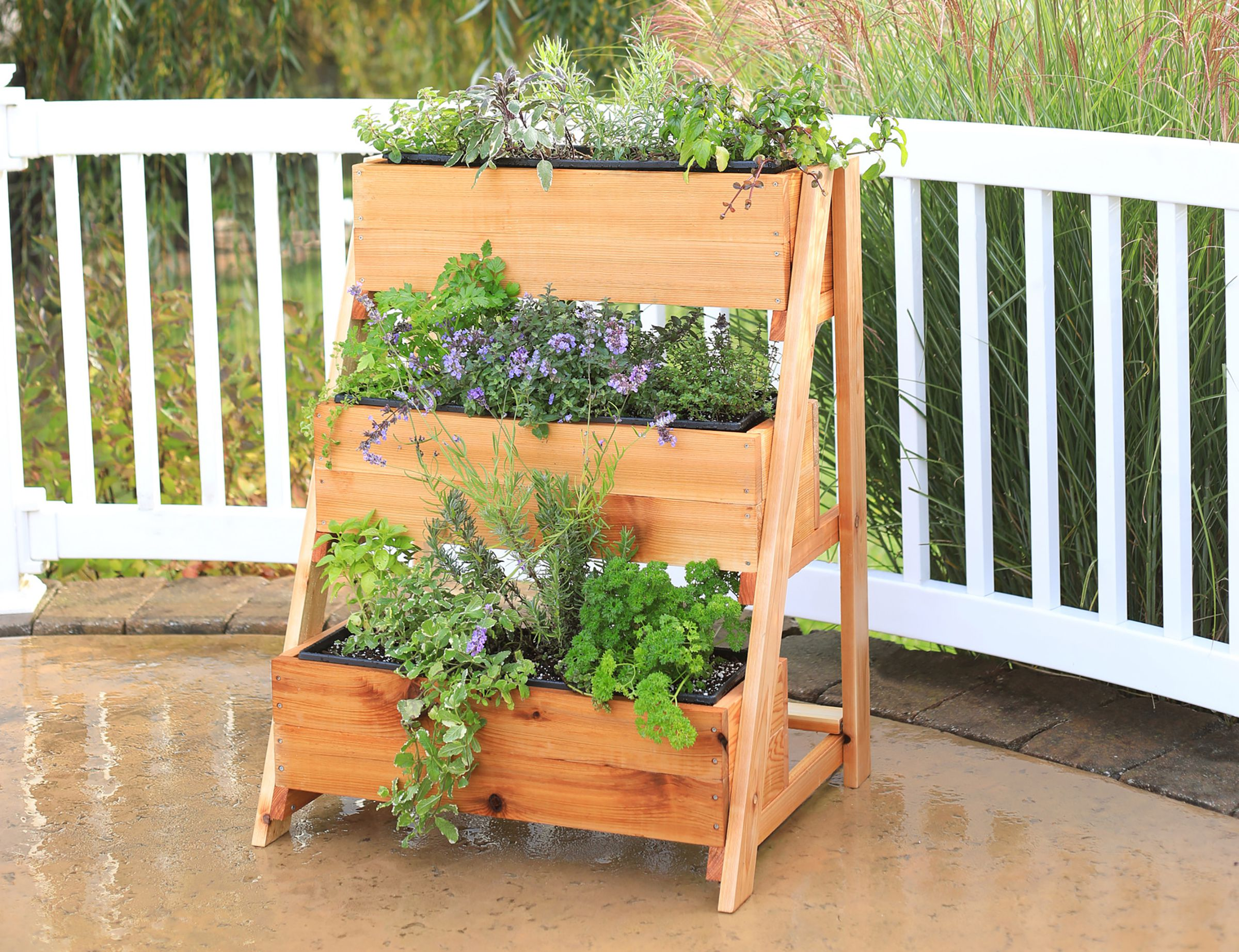 Stair-Step Plant Stand: A Great Way To Display Variety Of Flora