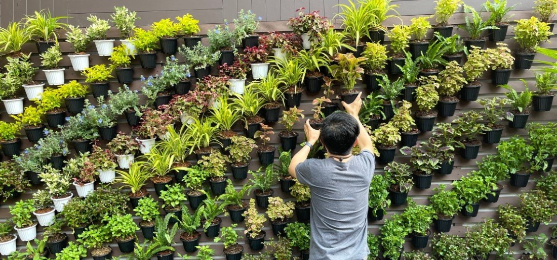 Vertical Garden Screen