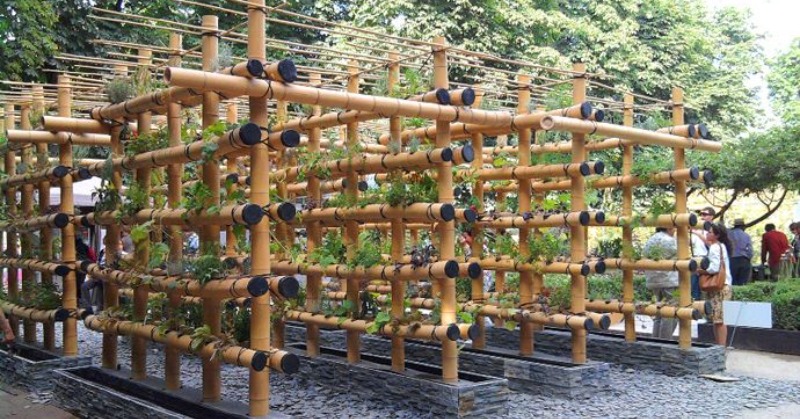 Vertical Bamboo Planter