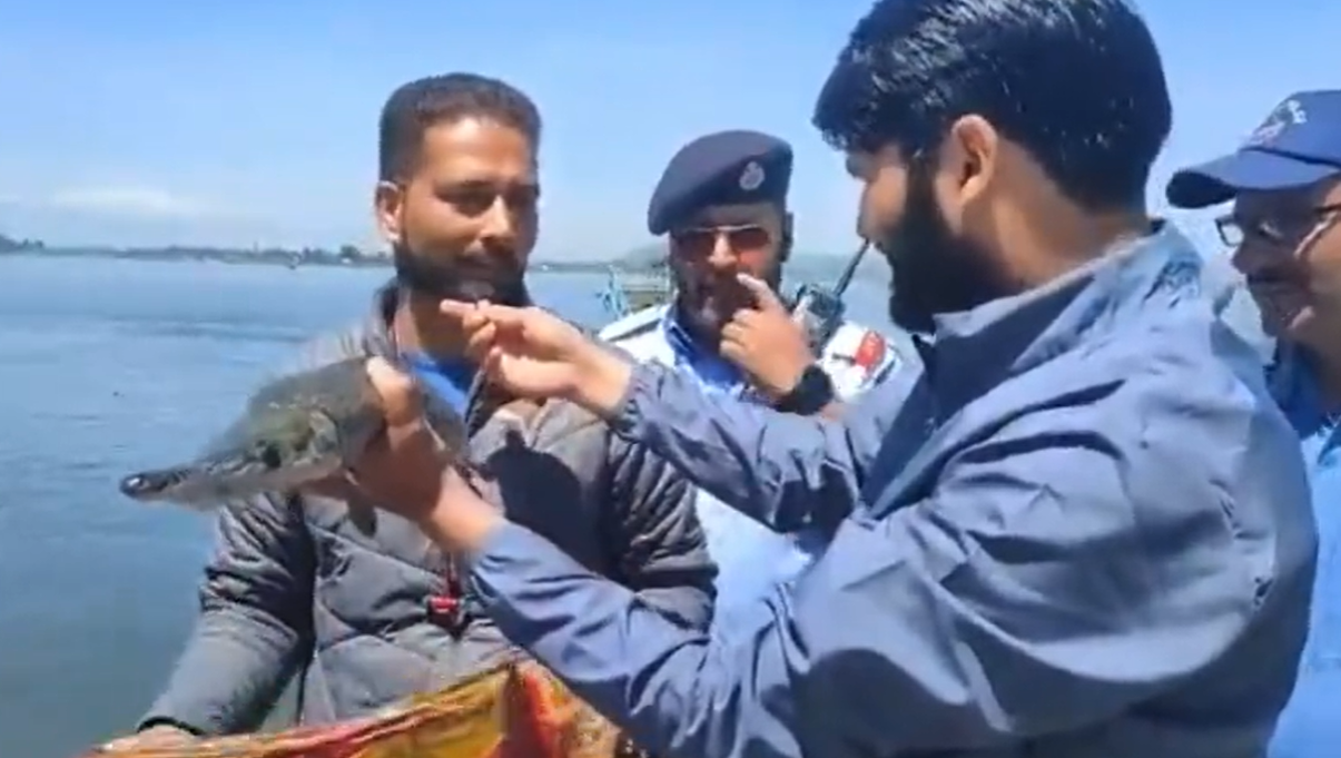 Rare Alligator Gar Fish Found In Kashmir's Dal Lake