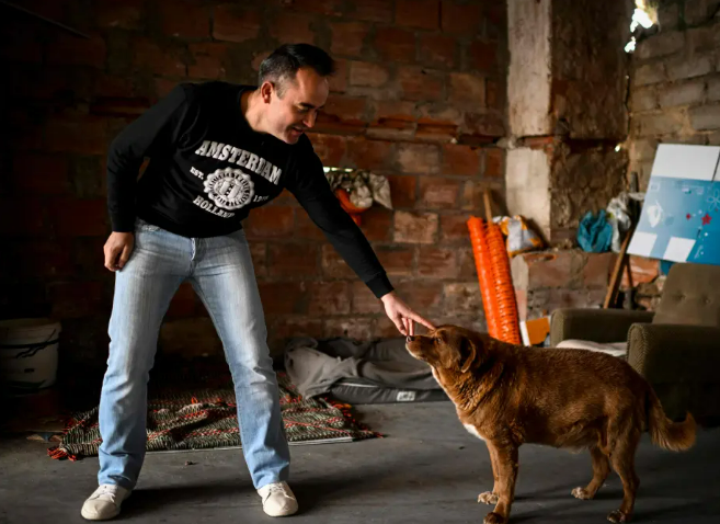 World's Oldest Dog, Bobi, Just Turned 31: Owner Reveals Secret Behind ...