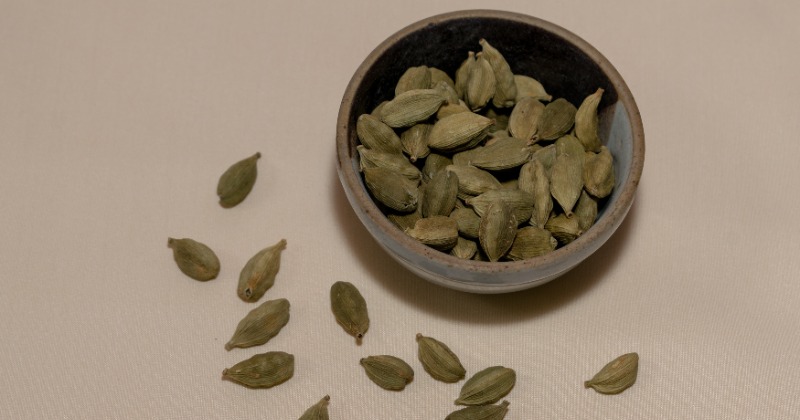 How To Grow Elaichi From Seeds In India