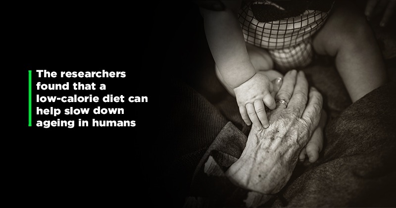 New Study Reveals What Causes Ageing And A Simple Way To Slow It Down