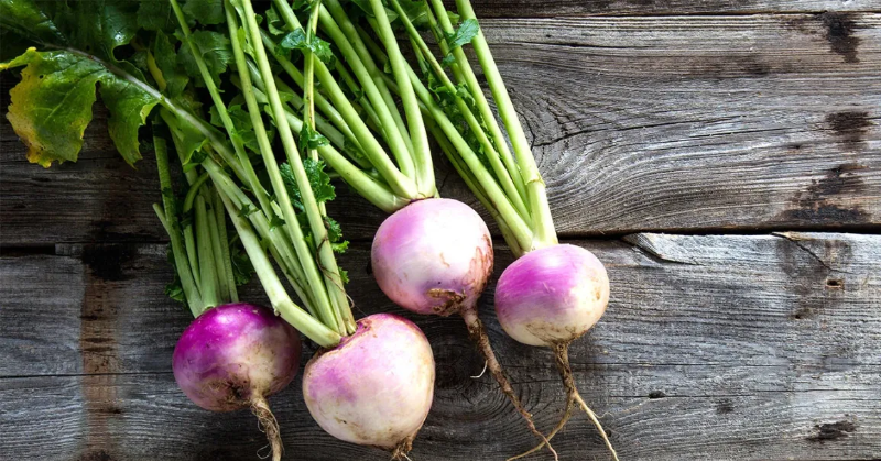 How To Grow Turnip From Sprouting To Produce At Home