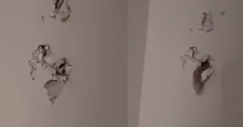 Startling Voice And Finger Emerge From Wall