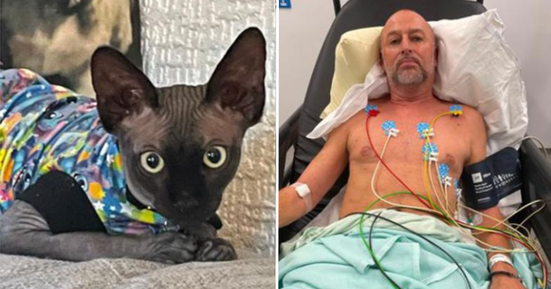 Man Trips Over His Cat, Ends Up Sustaining 'Car Crash Injuries'