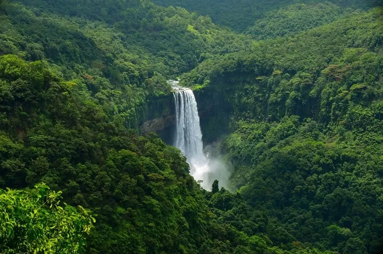 5 Waterfalls You Must See In Goa