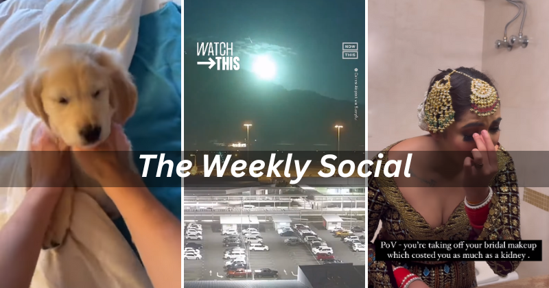 The Weekly Social: Your Weekly Guide to Instagram's Hottest Viral Videos