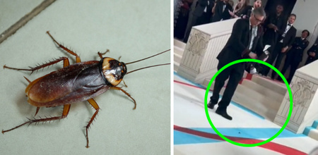 Cockroach Clicked At Met Gala 2023 Red Carpet