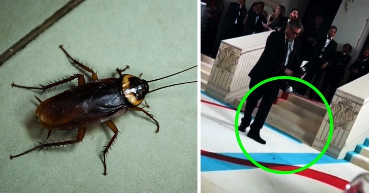 Cockroach Clicked At Met Gala 2023 Red Carpet