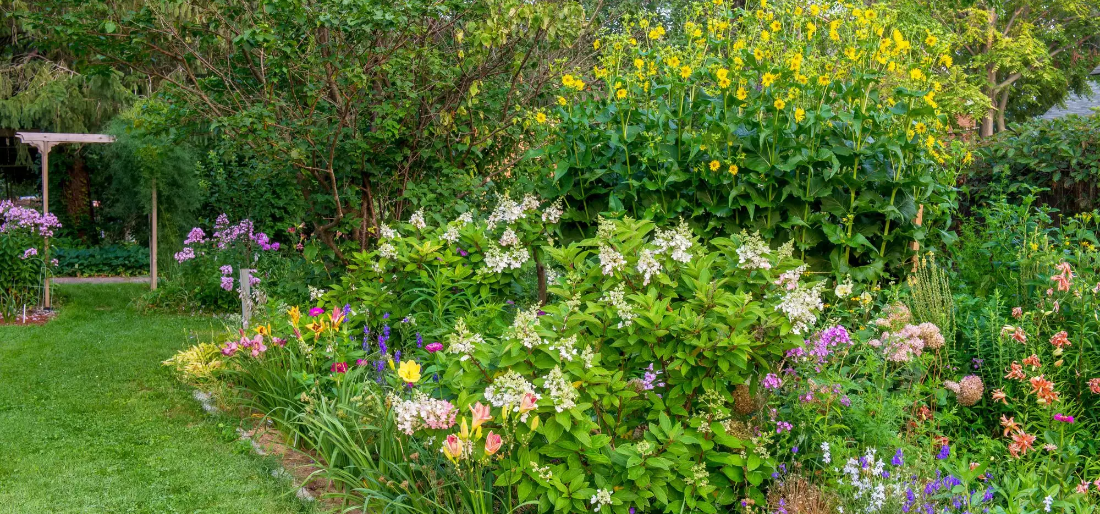 How To Make A Summer Garden In India